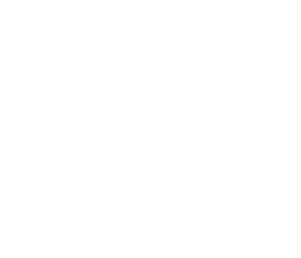 Proyectos emblematico - Pieux Vistech